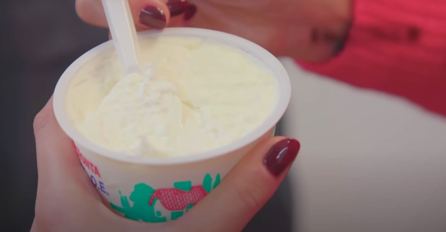 Can You Mix Yogurt and Milk? Read This First! - CanYouMix